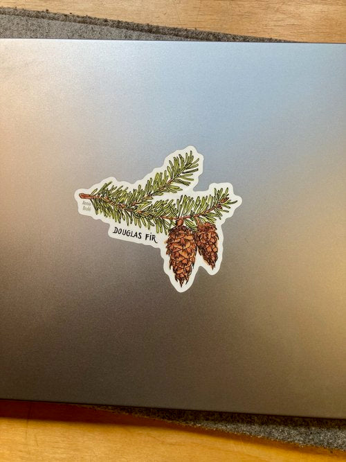 Douglas fir 4 inch sticker – Handmade On Vashon